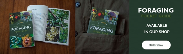 Wild Food Foraging Products: foraging books, gift vouchers, foraging guide