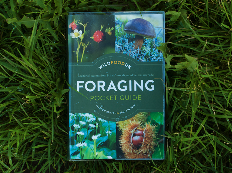 The Wild Food UK Foraging Pocket Guide - Foraging