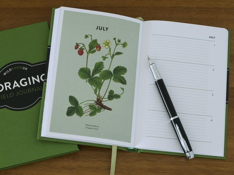 Foraging Field Journal - Foraging