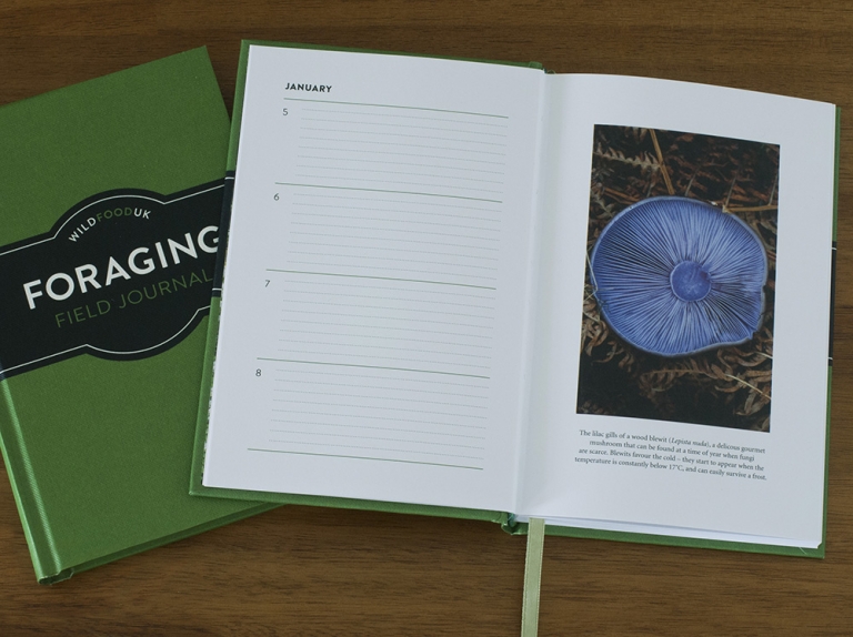 Foraging Field Journal - Foraging