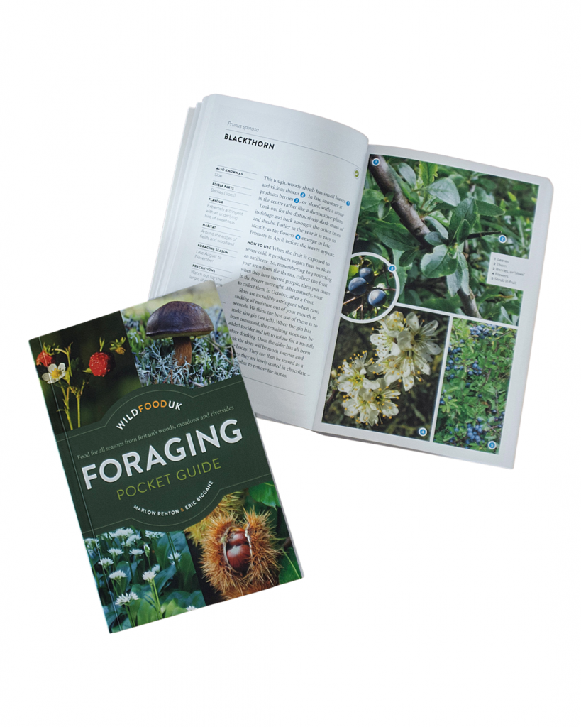 Foraging Pocket Guide - Foraging