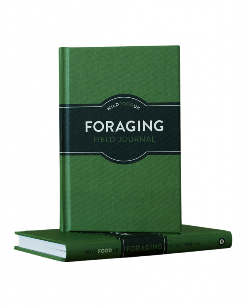 Foraging Field Journal - Foraging