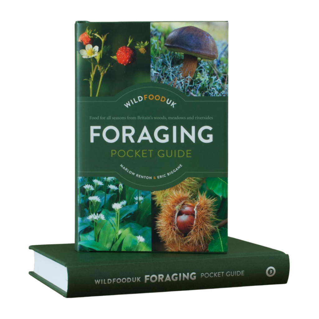 Wild Food Foraging Products: foraging books, gift vouchers, foraging guide