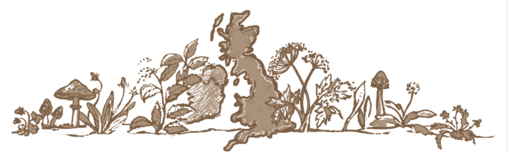 What is Foraging? - Foraging