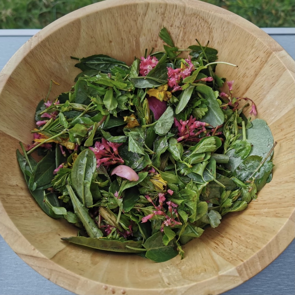 What is Foraging? - Foraging