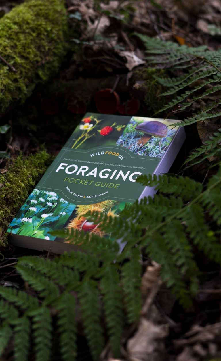 Foraging Pocket Guide - Foraging