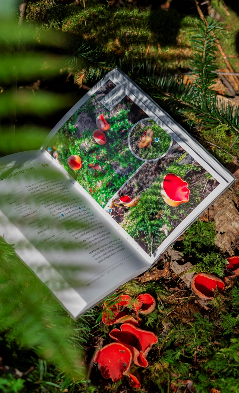 Foraging Pocket Guide - Foraging