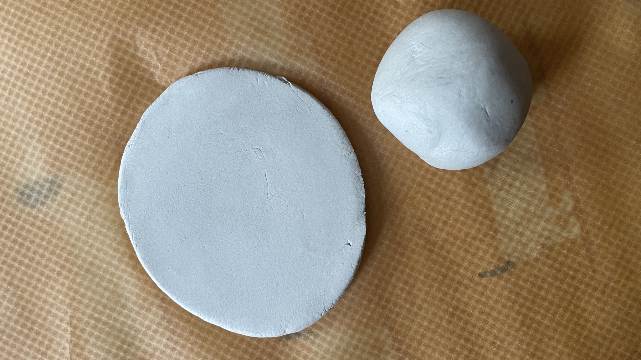 Arts and Crafts: Clay Impressions - Foraging