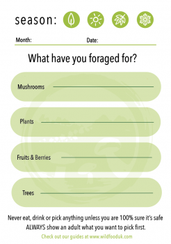 Worksheets - Foraging