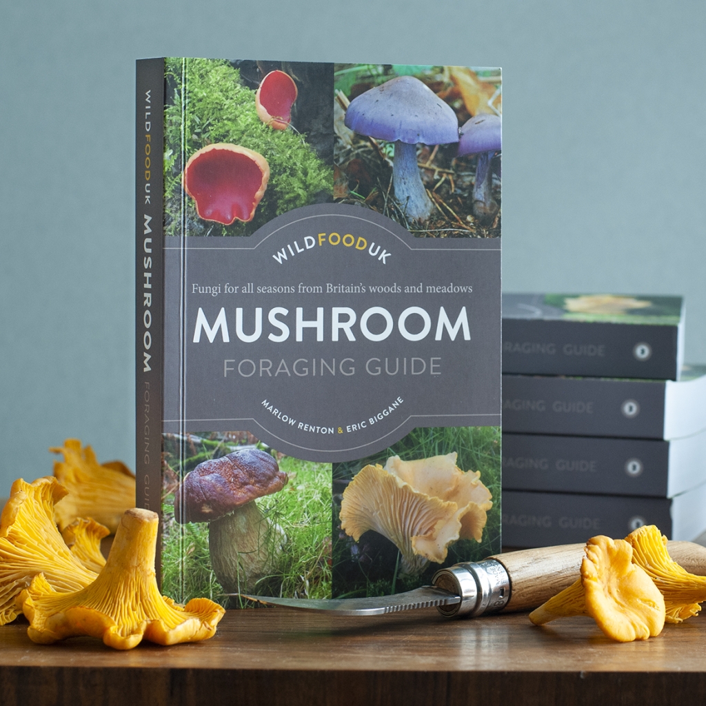 Wild Food Foraging Products: foraging books, gift vouchers, foraging guide
