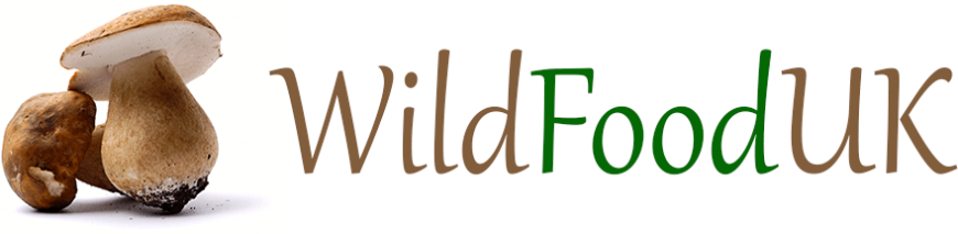 Wild Food Foraging Products: foraging books, gift vouchers, foraging guide