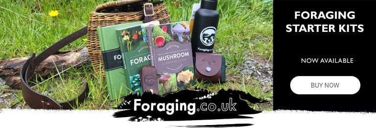 Wild Food Foraging Products: foraging books, gift vouchers, foraging guide
