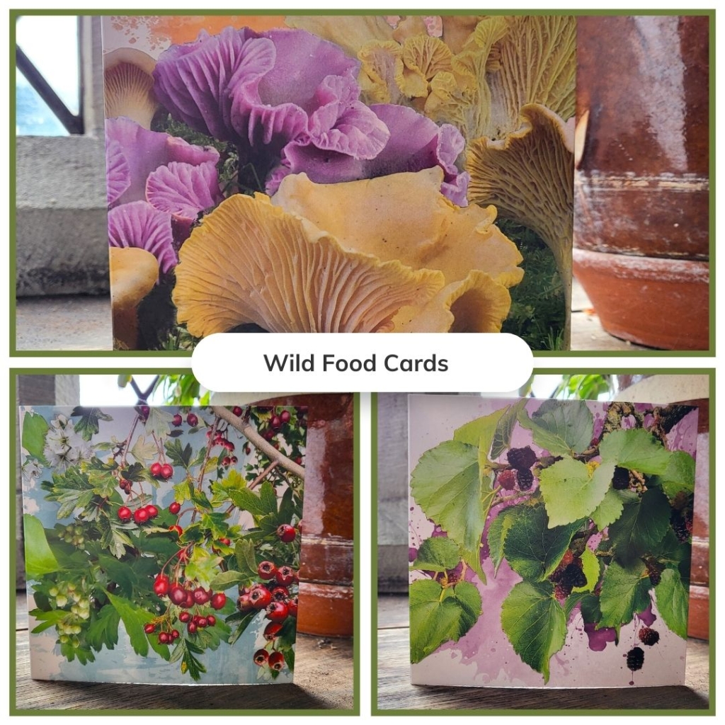 Mushroom Foraging Guide - Foraging